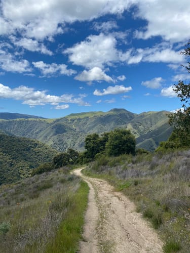 Best 10 Hikes and Trails in Garland Ranch Regional Park | AllTrails