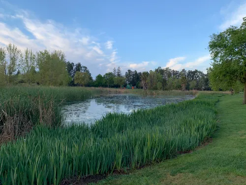 Best Hikes and Trails in Davis | AllTrails