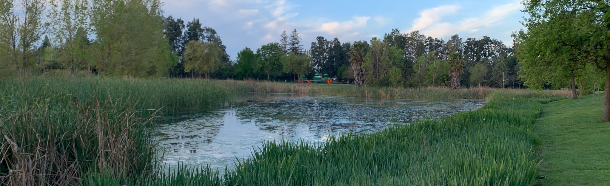 Davis-Covell Greenbelt Trail: 241 Reviews, Map - California | AllTrails