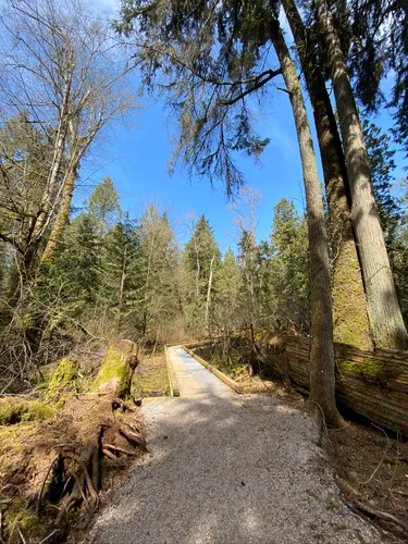 10 Best Trails and Hikes in White Rock | AllTrails