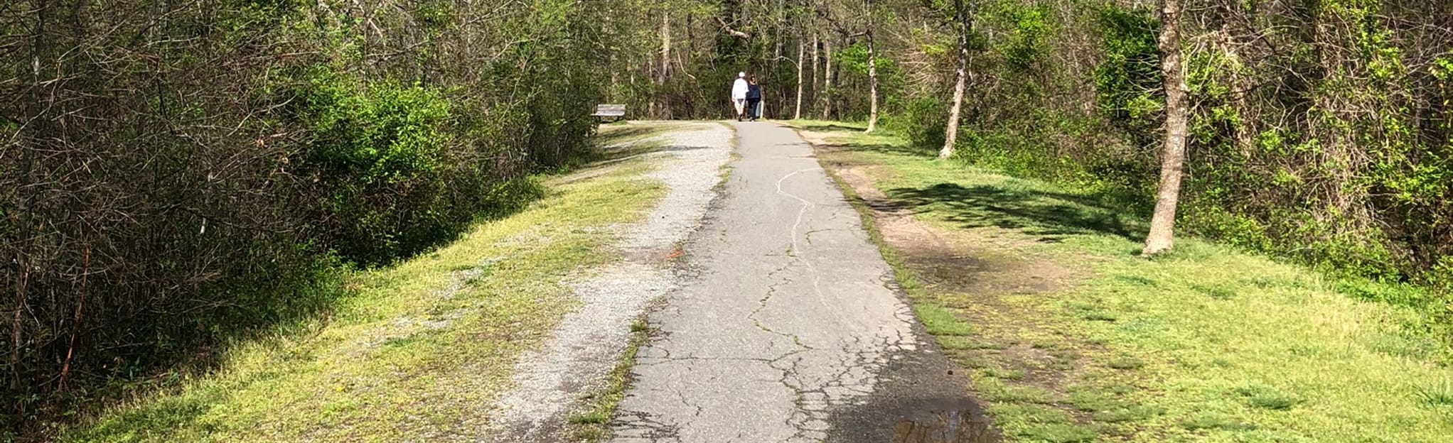 Deep Run Park Perimeter Trail: 741 Reviews, Map - Virginia | AllTrails