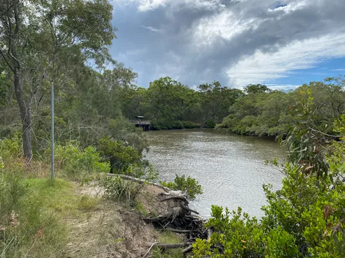 Best Hikes and Trails in Tingalpa Creek Reserve | AllTrails