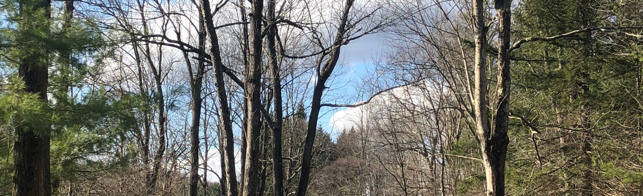 Lock 31 Canal Walk, Pennsylvania - 151 Reviews, Map | AllTrails