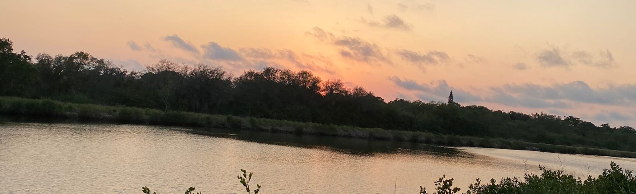 Sheffield Park via Oldsmar Trail, Florida - 38 Reviews, Map | AllTrails