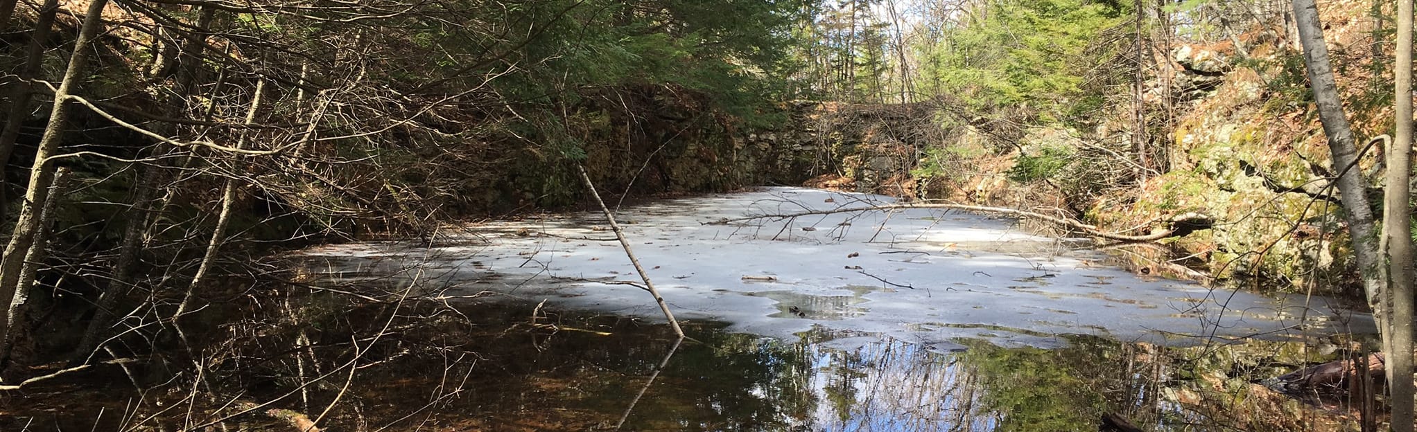 Tryon Mountain, Maine - 99 Reviews, Map | AllTrails