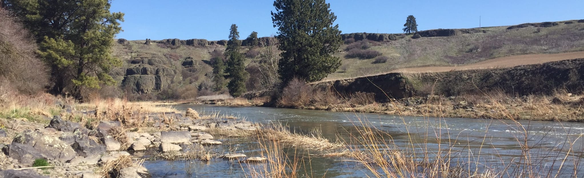 Colfax Trail, Washington - 145 Reviews, Map | AllTrails