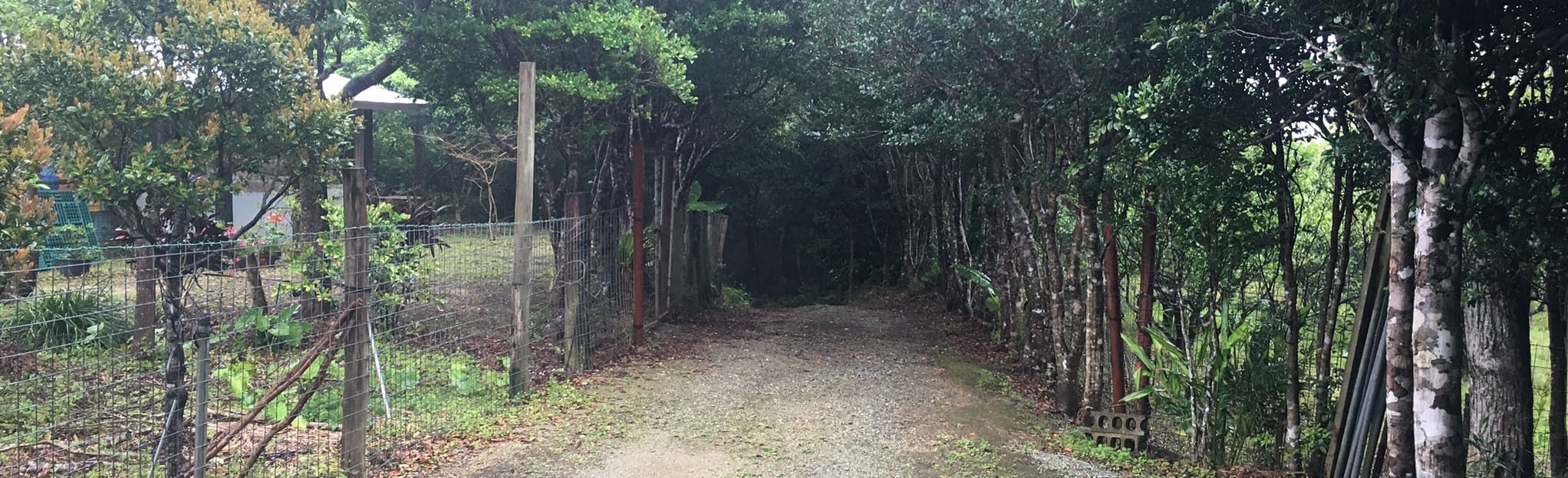 Mount Ibu, Okinawa, Japan - 8 Reviews, Map | AllTrails