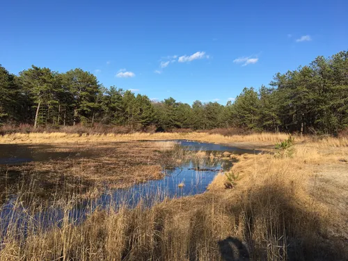 Best Hikes and Trails in Brookhaven State Park | AllTrails