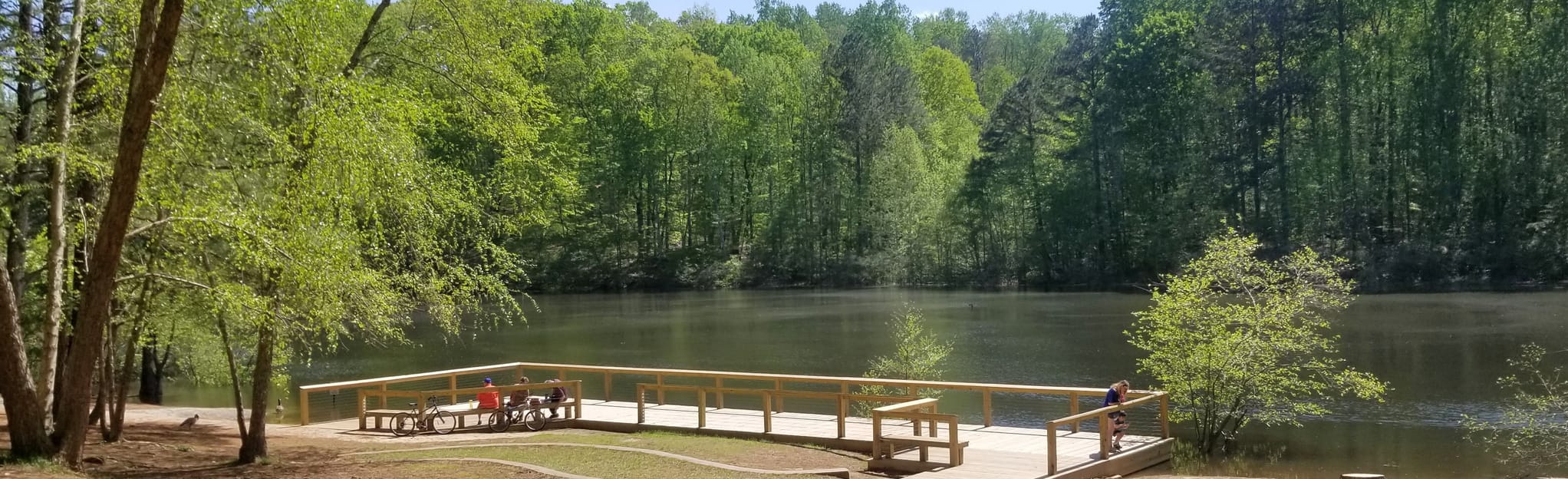 Henderson Park Loop, Georgia - 1,469 Reviews, Map | AllTrails