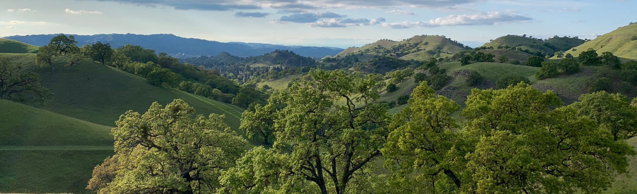 Foothills, Stage Road, Little Yosemite Valley, and Borges Ranch Loop ...