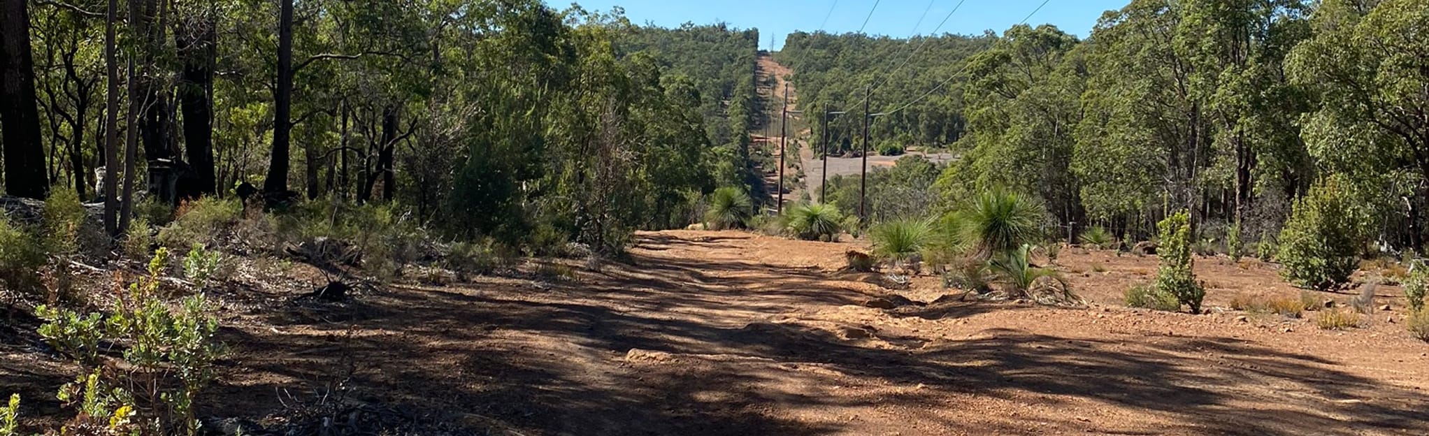 Old Mundaring Trail to North Ledge: 12 Reviews, Map - Western Australia ...