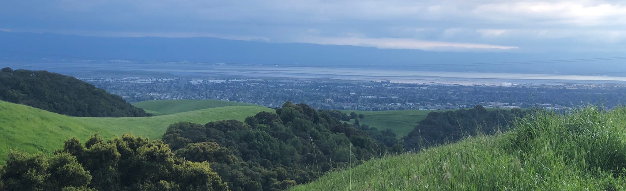 Bay Area Ridge Trail: Vargas Plateau Regional Park | Map, Guide ...