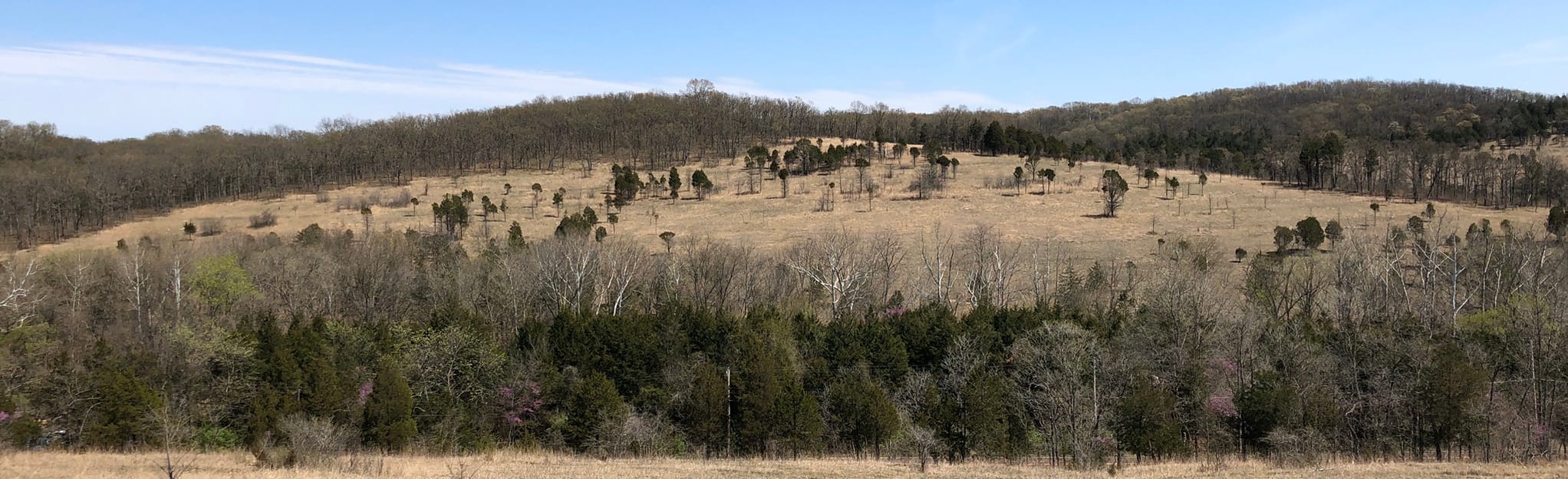 Victoria Glades Conservation Area Loop: 305 Reviews, Map - Missouri ...