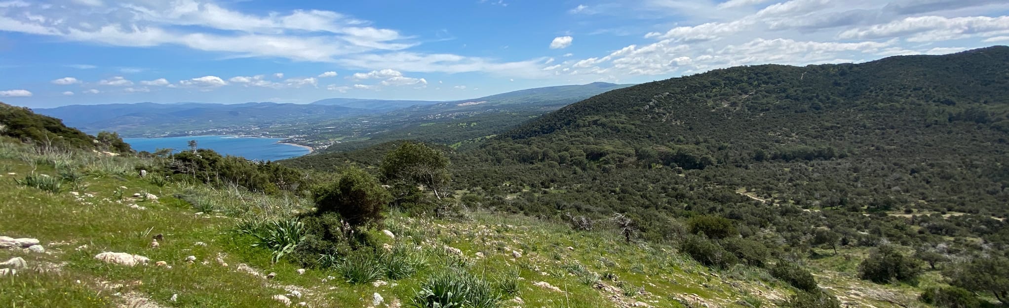 Aphrodite and Adonis Trails, Paphos, Cyprus - 82 Reviews, Map | AllTrails