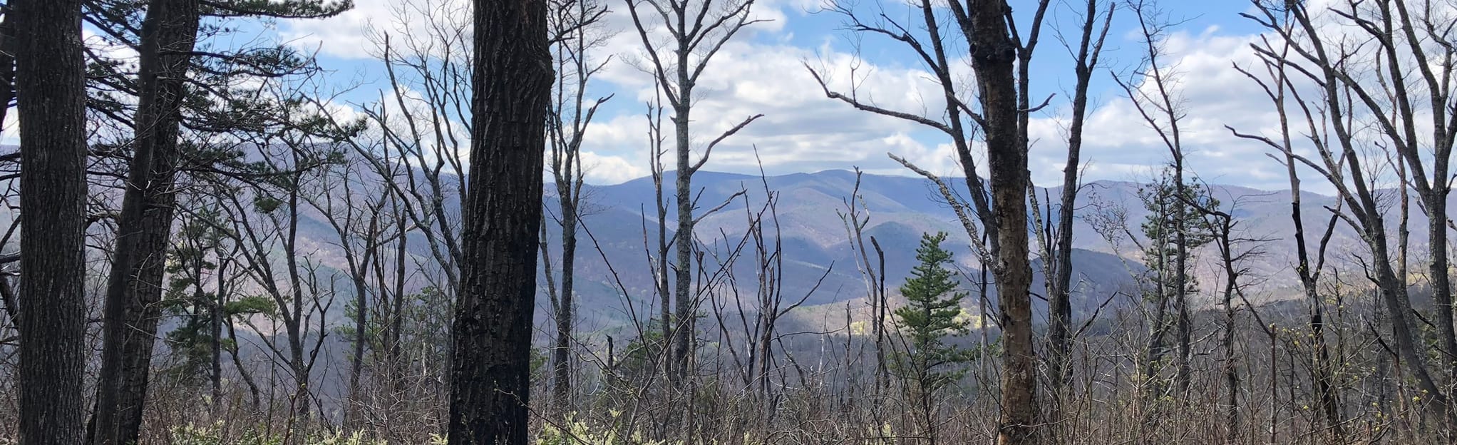 Hone Quarry Ridge Trail, Virginia - 6 Reviews, Map | AllTrails