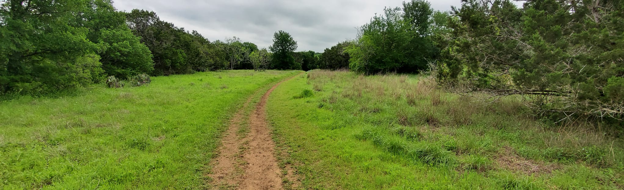 Roadrunner, Centipede and Grey Fox Loop, Texas - 62 Reviews, Map ...