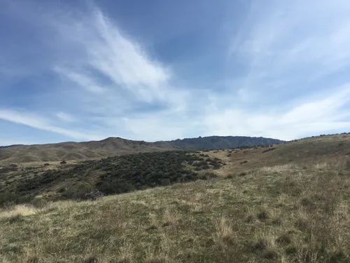 10 Best Kid Friendly Trails in Ridge to Rivers Management Area | AllTrails