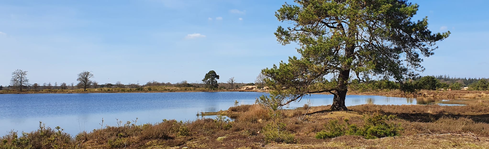 Wandelroute Kale Duinen, Frísia, Netherlands - 21 Reviews, Map | AllTrails