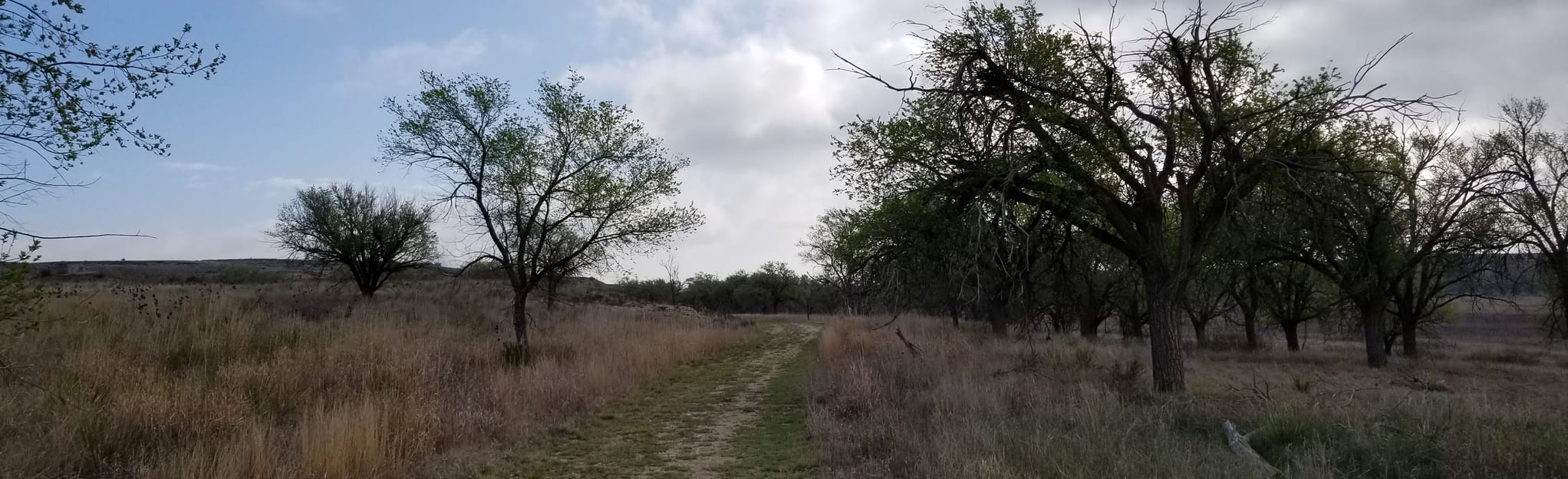 Buffalo Lake National Wildlife Refuge Trail: 44 Reviews, Map - Texas ...