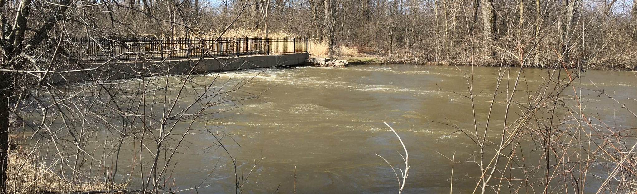 The Bray Island Park Trail: 1 Reviews, Map - Quebec, Canada | AllTrails