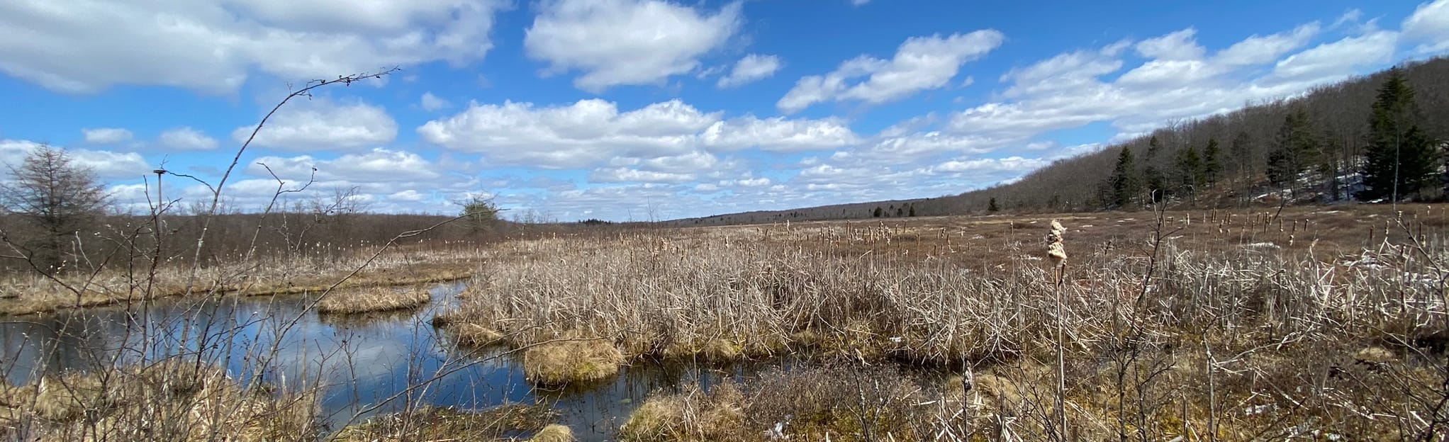 Old Entrance, Frank Gantz and Old 611 Loop, Pennsylvania - 109 Reviews ...