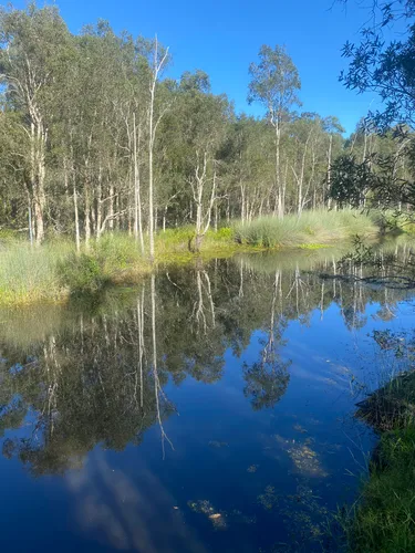 10 Best Hikes and Trails in Karawatha Forest Park | AllTrails