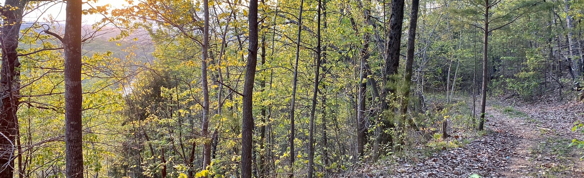 Gee Creek, Iron Gap, Chestnut Mountain Trail, and Coffee Branch Trail ...