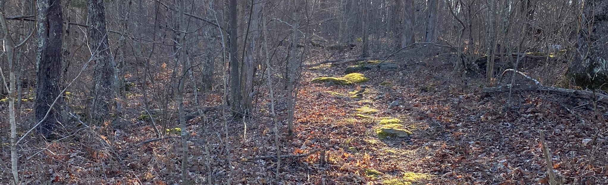 Spruce Run Trail, Pennsylvania - 3 Reviews, Map | AllTrails