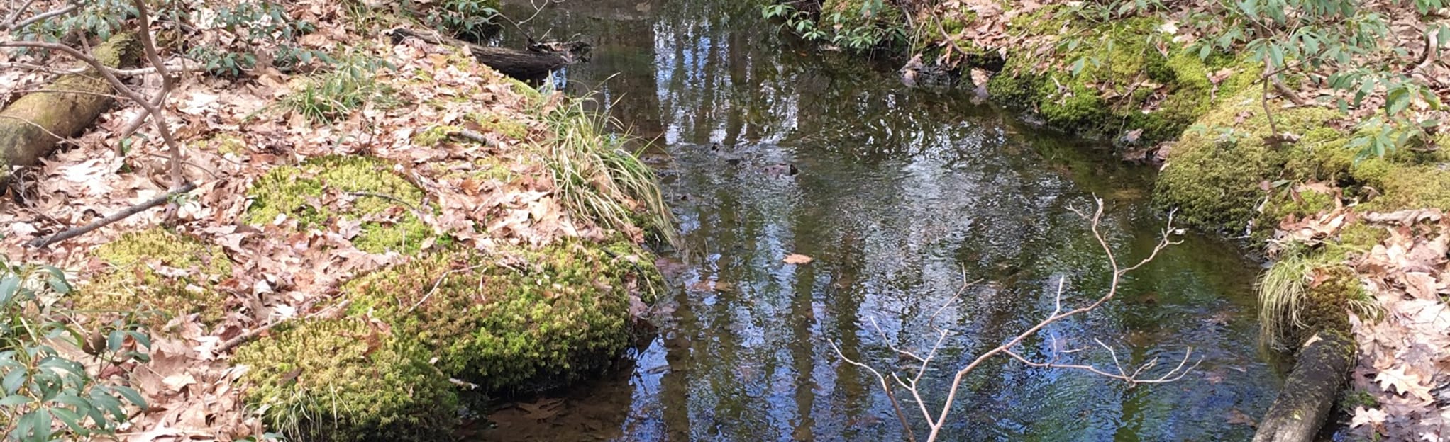 Long Path Trail, Pennsylvania - Map, Guide | AllTrails