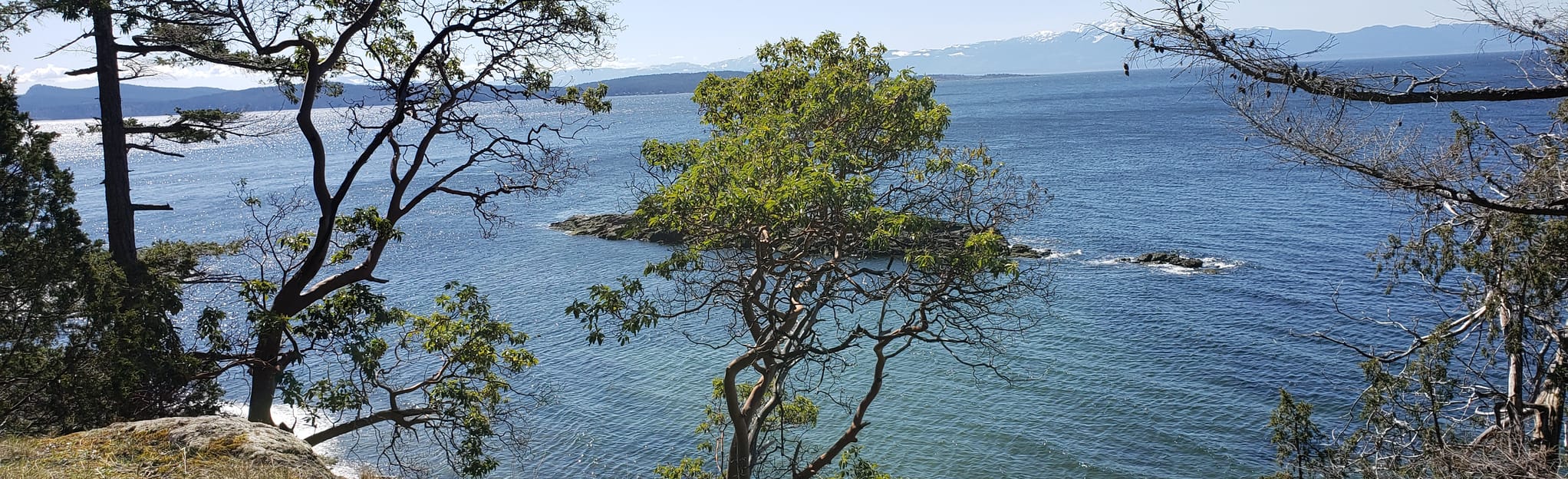 Shingle to Secret Beach: 28 Reviews, Map - British Columbia, Canada ...