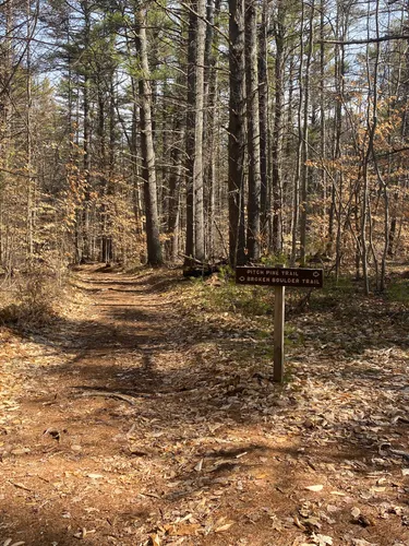 10 Best Trail Running Trails in Bear Brook State Park | AllTrails