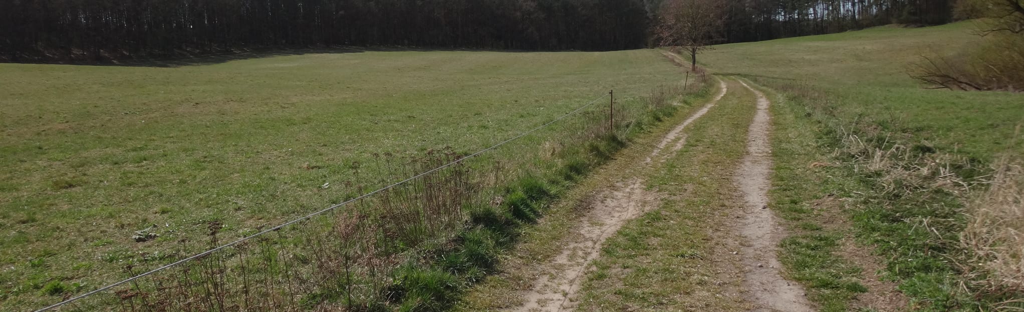 Durch das Sternberger Seeland ab Weitendorf (MTB): 24 Photos ...