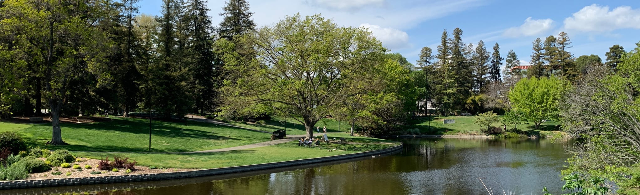 UC Davis Arboretum Trail, California - 1,111 Reviews, Map | AllTrails