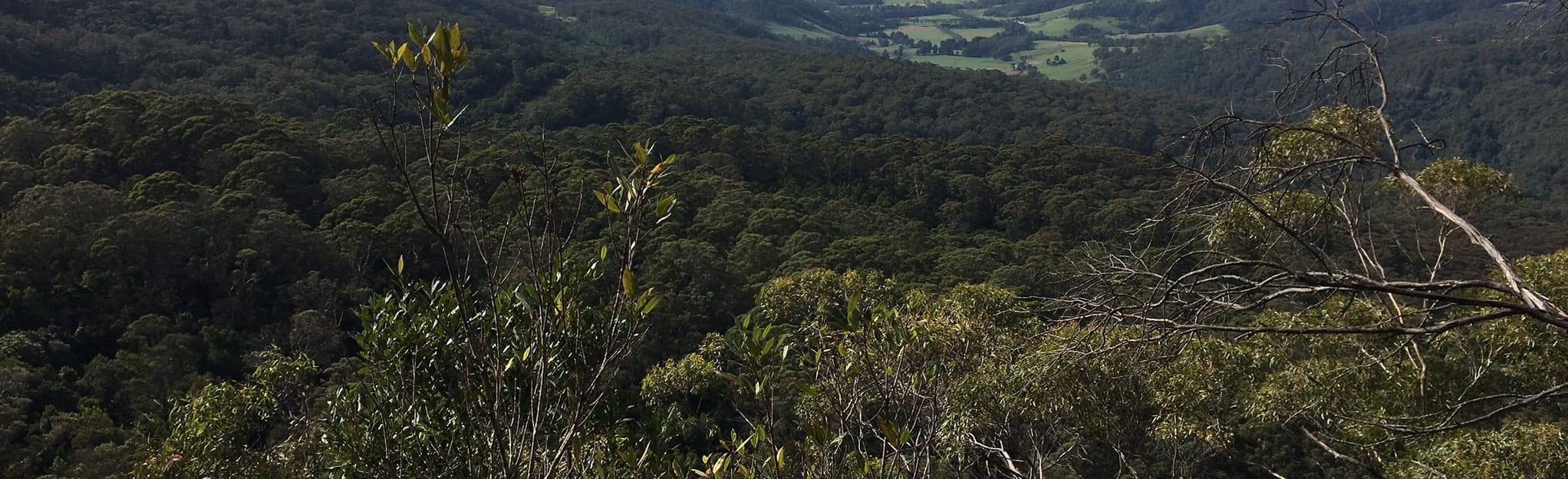 Mount Murray Rd Walk: 6 Reviews, Map - New South Wales, Australia ...