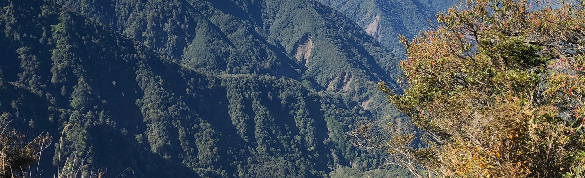 Paiyun Lodge via Yushan Trailhead: 512 Fotos - Chiayi, Taiwan | Wandern ...