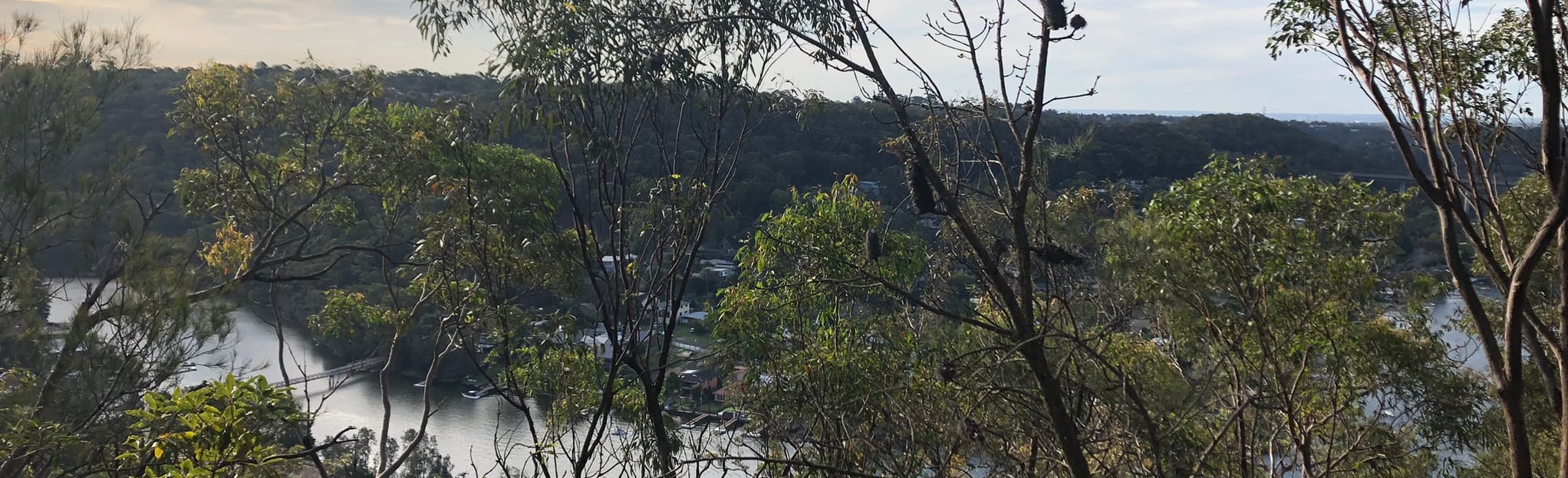 Woronora River Bridge Loop, New South Wales, Australia - 202 Reviews ...