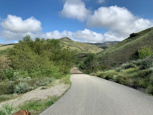 10 Best Trails and Hikes in Simi Valley | AllTrails