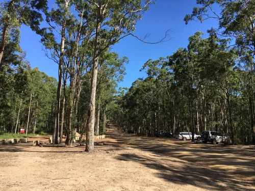 Best Hikes and Trails in Ourimbah State Forest | AllTrails