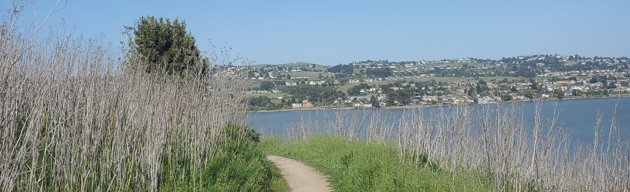 SF Bay Trail: Military West and Carquinez Strait Loop | Map, Guide ...