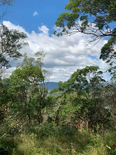 Best Hikes and Trails in Samford Valley | AllTrails