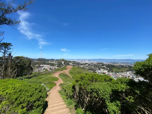 Best Hikes and Trails in Mount Davidson Park | AllTrails