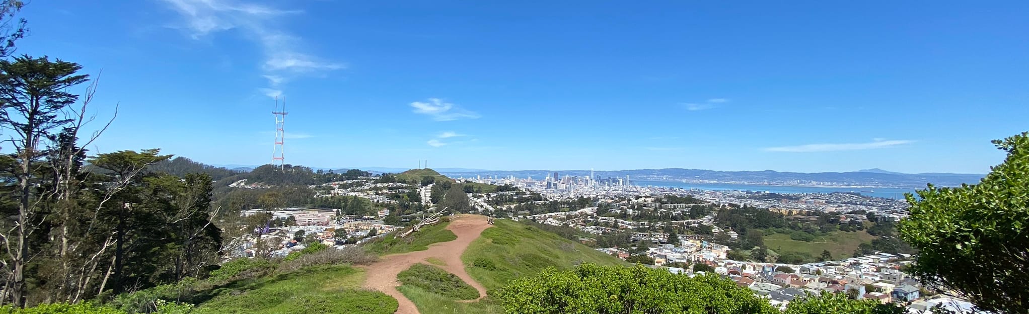 Mount Davidson: 800 Reviews, Map - California | AllTrails