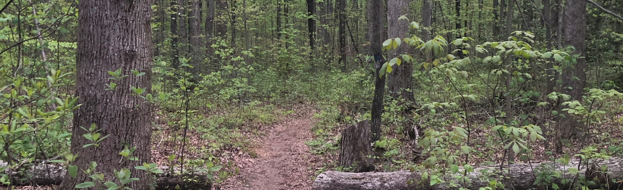 Lee Drive and South Lee Drive Trail, Virginia - 480 Reviews, Map ...