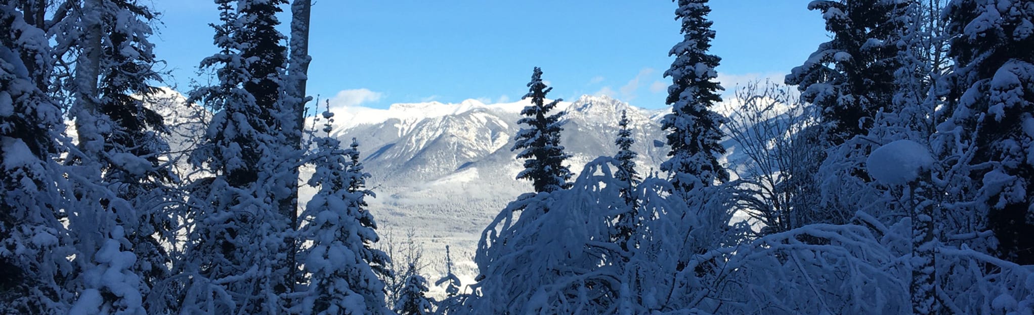Scalli-Mag Trail, British Columbia, Canada - 19 Reviews, Map | AllTrails
