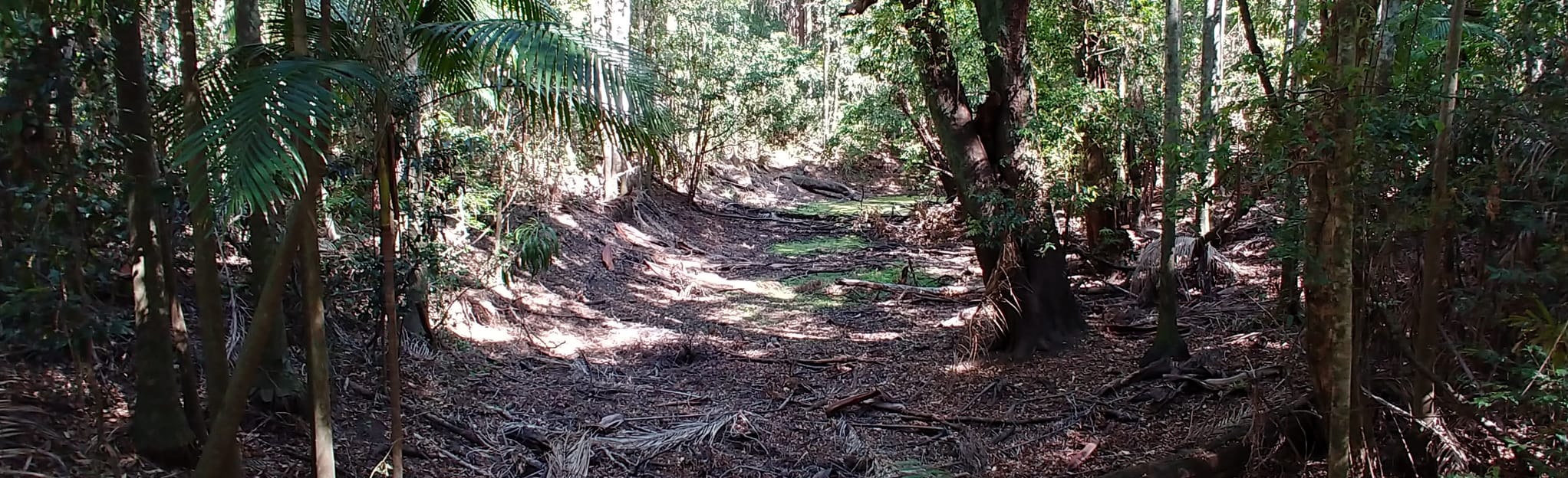 Mooloolah River Circuit, Queensland, Australia - 6 Reviews, Map | AllTrails