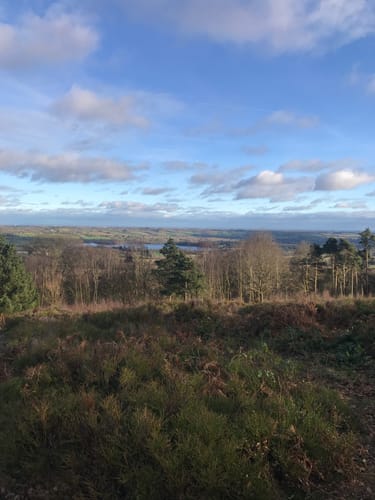 2023 Best Mountain Biking Trails in Lickey Hills Country Park | AllTrails