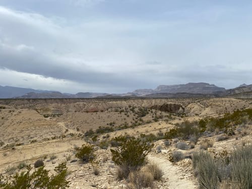 2023 Best Mountain Biking Trails in Big Bend Ranch State Park | AllTrails