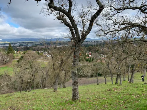 10 Best Trails and Hikes in San Ramon | AllTrails