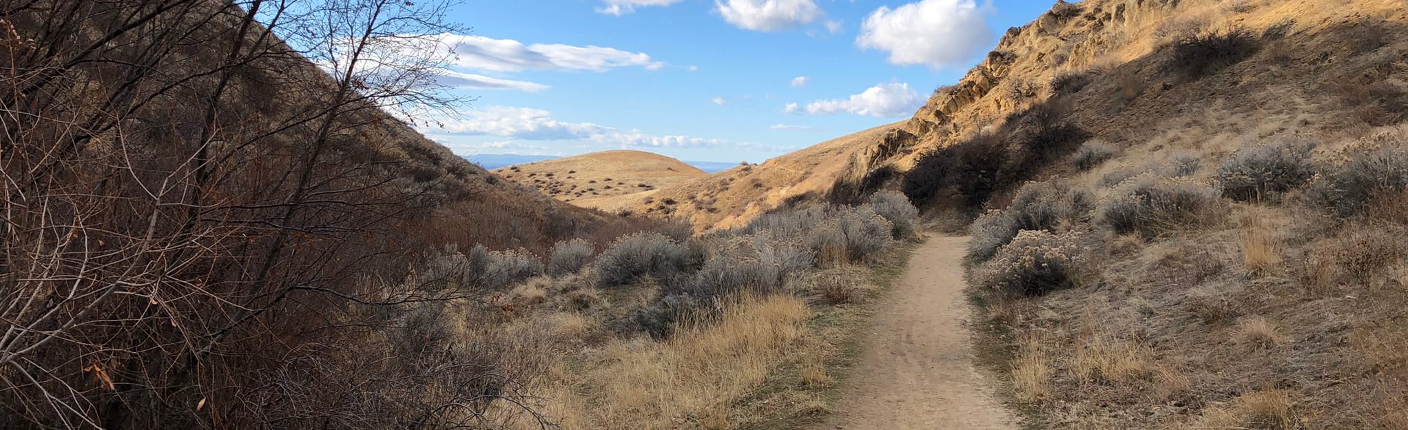 Hard Guy, Boise Ridge Rd, 8th Street Extension and Corrals Loop, Idaho ...