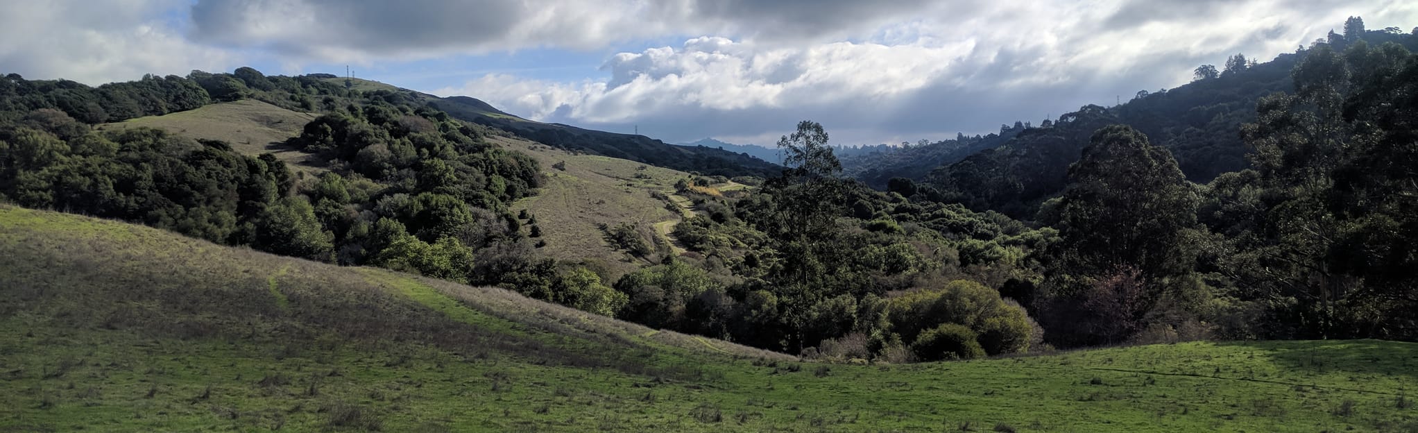 Conlon Trail and Nimitz Way Loop: 239 Reviews, Map - California | AllTrails
